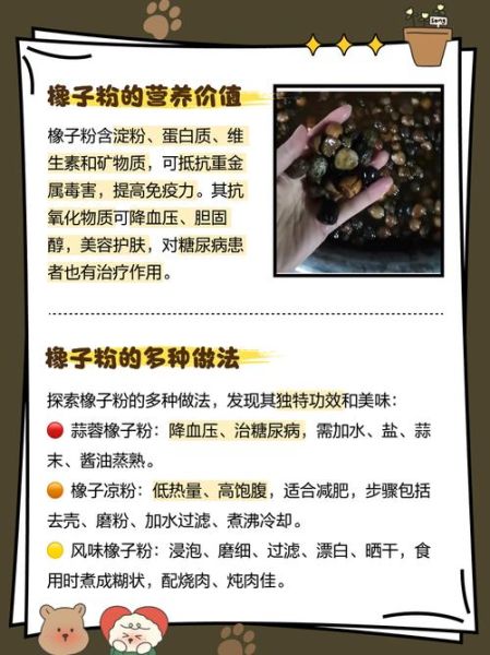 橡子粉怎么吃_橡子粉有什么功效-第1张图片-山城妙识