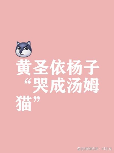 杨猫是谁_杨猫微博日常更新内容-第2张图片-山城妙识