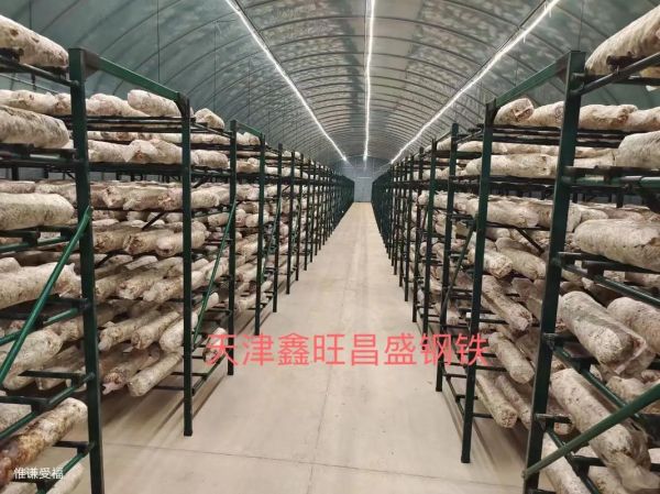 香菇种植大棚造价多少钱_香菇大棚怎么搭建-第1张图片-山城妙识