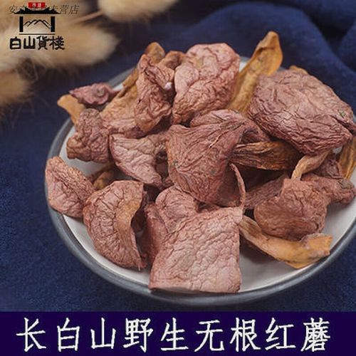 肉蘑图片_如何辨别真假肉蘑-第2张图片-山城妙识 肉蘑图片_如何辨别真假肉蘑-第2张图片-山城妙识