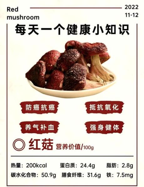 肉蘑图片_如何辨别真假肉蘑-第3张图片-山城妙识 肉蘑图片_如何辨别真假肉蘑-第3张图片-山城妙识