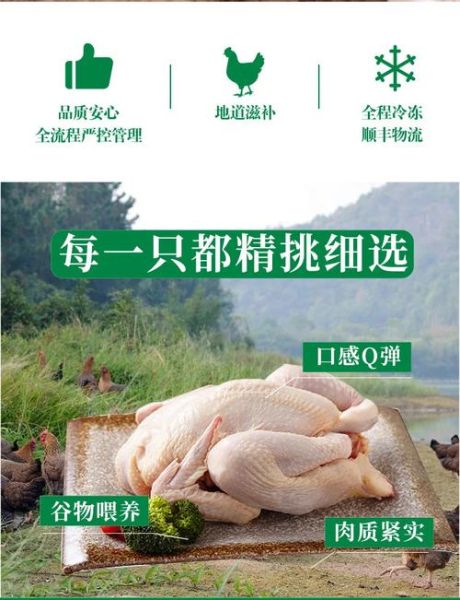 童子鸡多少钱一只_新鲜童子鸡价格-第3张图片-山城妙识