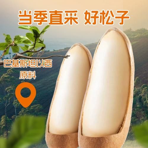 巴西松子小说结局是什么_巴西松子小说人物关系-第1张图片-山城妙识