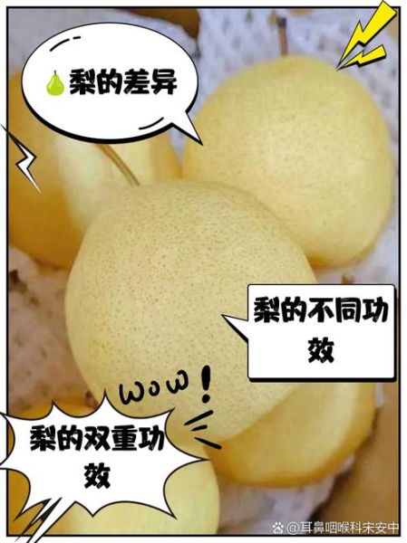 皇冠梨是雪梨吗_皇冠梨和雪梨的区别-第1张图片-山城妙识 皇冠梨是雪梨吗_皇冠梨和雪梨的区别-第1张图片-山城妙识