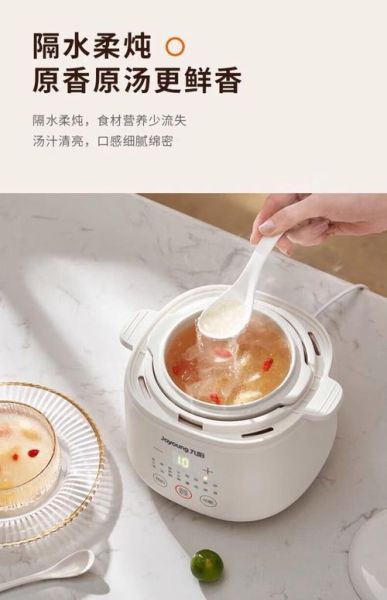 隔水炖和电炖锅哪个好_隔水炖的正确使用方法-第1张图片-山城妙识