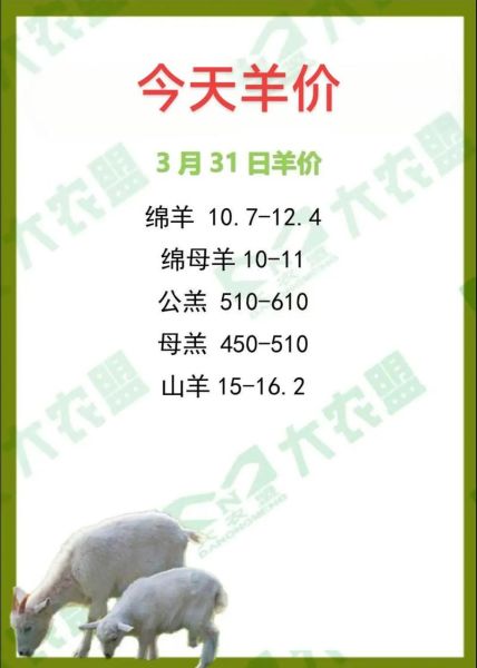 羊肉价格今日价2020年_为什么突然暴涨-第1张图片-山城妙识 羊肉价格今日价2020年_为什么突然暴涨-第1张图片-山城妙识