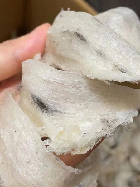 毛燕窝价格多少钱一斤_毛燕窝一斤多少钱-第3张图片-山城妙识 毛燕窝价格多少钱一斤_毛燕窝一斤多少钱-第3张图片-山城妙识