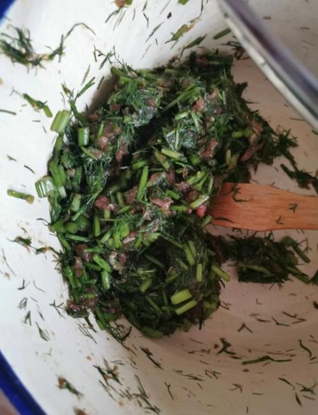 茴香苗包子馅怎么做_茴香苗包子馅的做法窍门-第1张图片-山城妙识