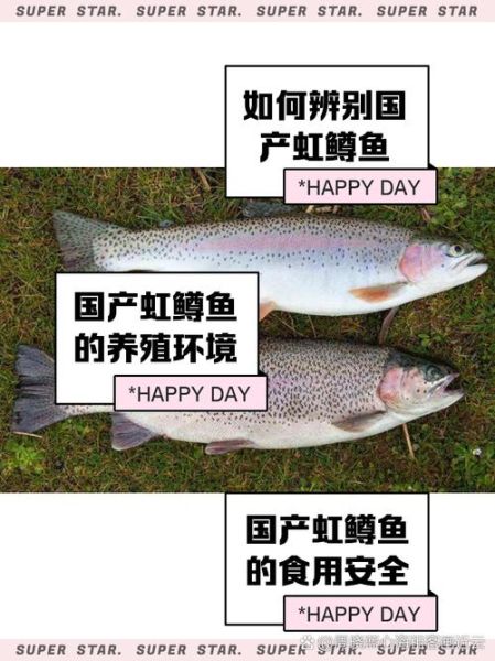 怀柔虹鳟鱼养殖基地在哪_怀柔虹鳟鱼多少钱一斤-第1张图片-山城妙识