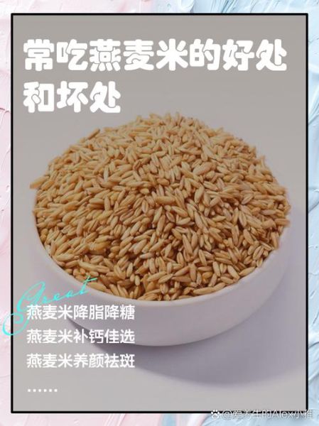 燕麦米的功效与作用_燕麦米怎么吃最好-第2张图片-山城妙识