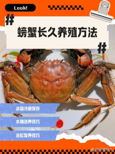 淡水螃蟹养殖技术_如何提高成活率-第1张图片-山城妙识 淡水螃蟹养殖技术_如何提高成活率-第1张图片-山城妙识