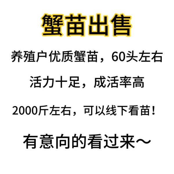 淡水螃蟹养殖技术_如何提高成活率-第3张图片-山城妙识 淡水螃蟹养殖技术_如何提高成活率-第3张图片-山城妙识