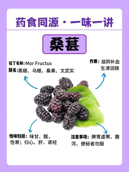 桑葚的功效与作用及副作用_哪些人不能吃桑葚-第1张图片-山城妙识 桑葚的功效与作用及副作用_哪些人不能吃桑葚-第1张图片-山城妙识