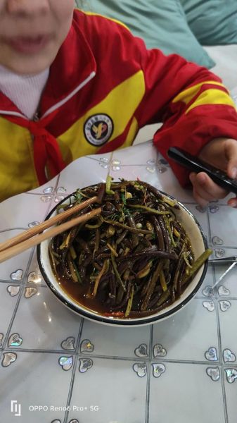 蕨菜干怎么泡发_蕨菜干怎么做好吃图片-第3张图片-山城妙识