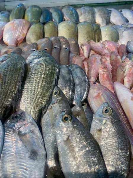 干海鱼怎么泡发_干海鱼怎么做才好吃-第3张图片-山城妙识