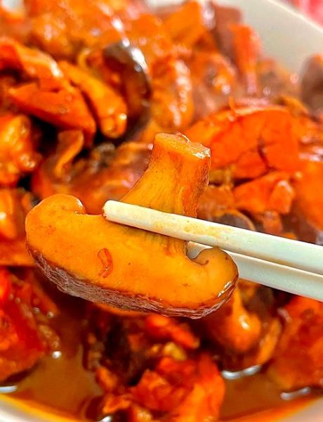 红烧鸡腿块怎么做_红烧鸡腿块需要焯水吗-第3张图片-山城妙识