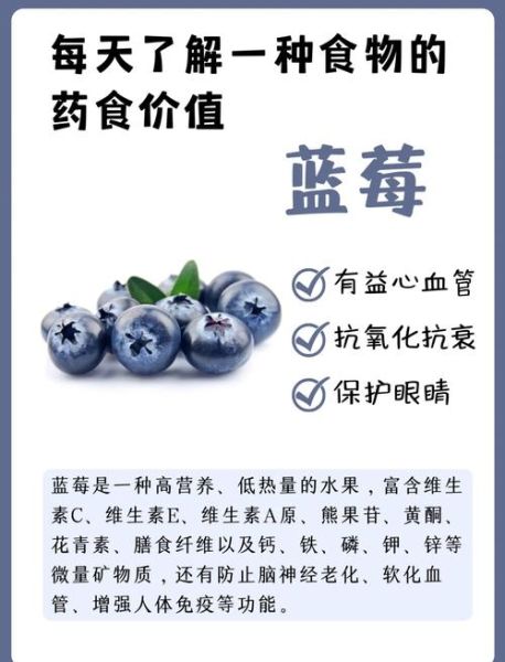 蓝莓的功效与作用及禁忌_蓝莓一天吃多少合适-第3张图片-山城妙识