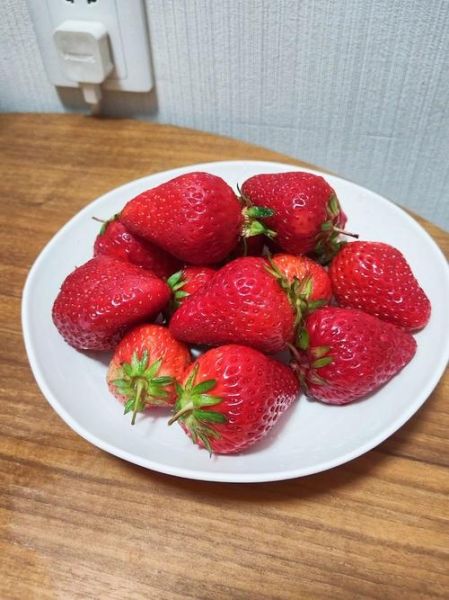 牛奶草莓是用牛奶浇的吗_真相揭秘-第3张图片-山城妙识 牛奶草莓是用牛奶浇的吗_真相揭秘-第3张图片-山城妙识