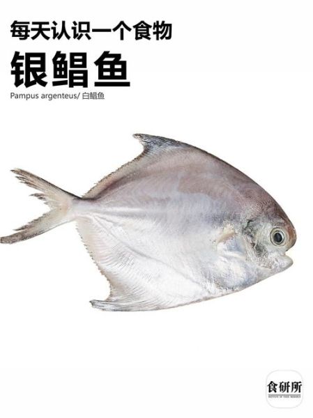 扁扁的鱼是什么鱼_和鲳鱼一样扁的鱼有哪些-第3张图片-山城妙识