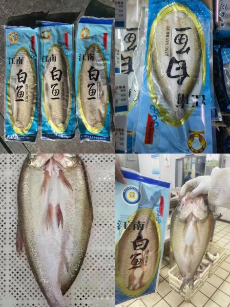 白鱼是什么鱼_白鱼多少钱一斤-第1张图片-山城妙识