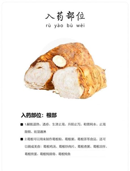 野生葛根有什么作用_野生葛根怎么吃效果最好-第2张图片-山城妙识 野生葛根有什么作用_野生葛根怎么吃效果最好-第2张图片-山城妙识