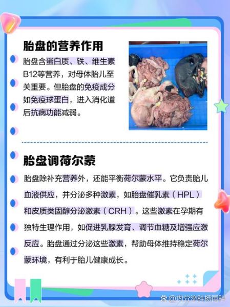 男人吃胎盘可以壮阳吗_胎盘壮阳是真的吗-第1张图片-山城妙识