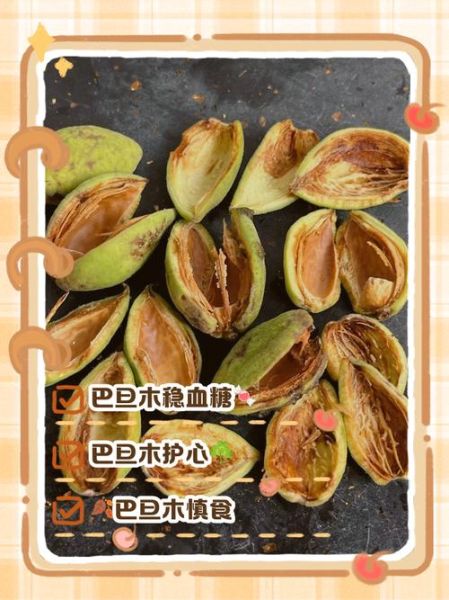 孕妇吃巴旦木会流产吗_巴旦木孕妇一天能吃几颗-第1张图片-山城妙识 孕妇吃巴旦木会流产吗_巴旦木孕妇一天能吃几颗-第1张图片-山城妙识