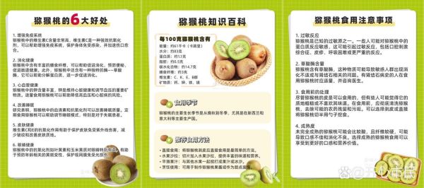 猕猴桃和奇异果哪个营养高_维生素C含量对比-第3张图片-山城妙识