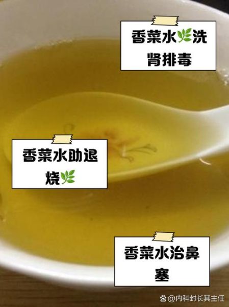 水煮香菜的功效与作用_水煮香菜能减肥吗-第1张图片-山城妙识 水煮香菜的功效与作用_水煮香菜能减肥吗-第1张图片-山城妙识