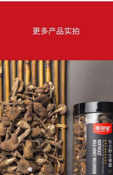 榛蘑菇多少钱一斤_榛蘑菇价格受哪些因素影响-第2张图片-山城妙识