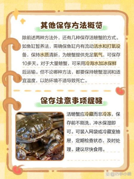 活螃蟹怎么保存_活螃蟹能放冰箱冷藏吗-第1张图片-山城妙识