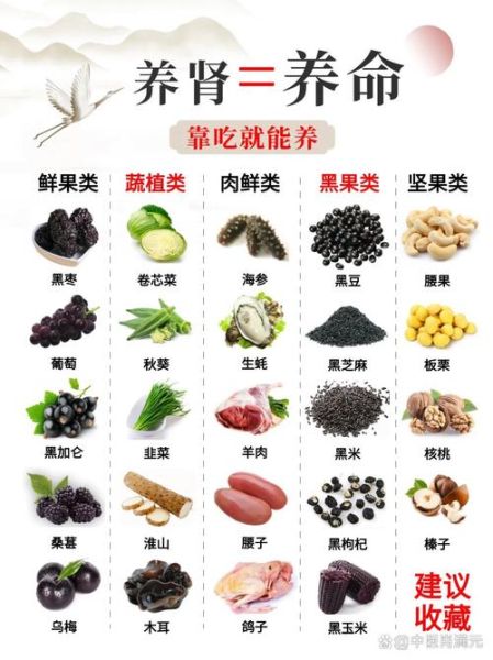 食补肾吃什么最好_肾虚食补吃什么最快-第1张图片-山城妙识