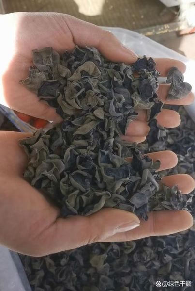 木耳可以生吃吗_生吃木耳的风险-第2张图片-山城妙识
