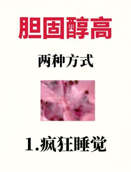 一天吃10个鸡蛋后果_胆固醇会爆表吗-第1张图片-山城妙识