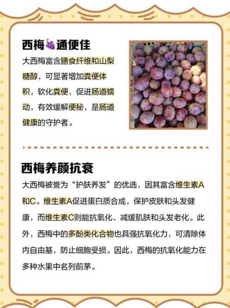 西梅的功效与作用_西梅的副作用有哪些-第3张图片-山城妙识