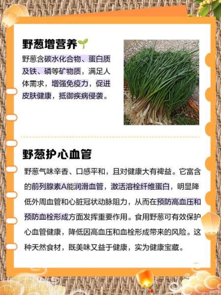 吃大葱的功效与作用_大葱能壮阳吗-第2张图片-山城妙识