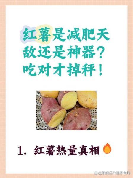 红薯的功效与作用_红薯减肥能吃吗-第2张图片-山城妙识