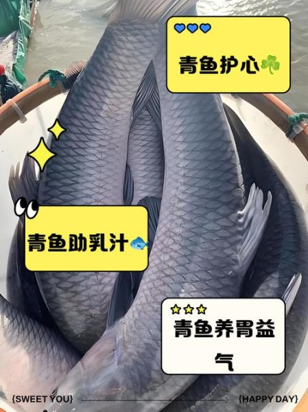 青鱼是什么鱼_青鱼营养价值及做法-第1张图片-山城妙识 青鱼是什么鱼_青鱼营养价值及做法-第1张图片-山城妙识