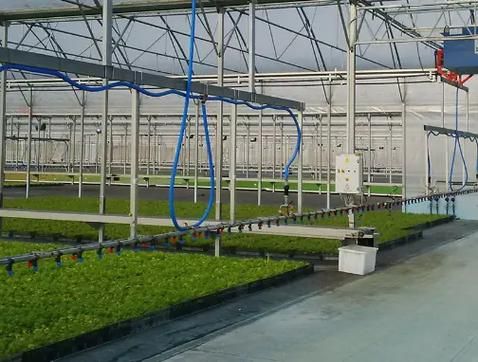 蔬菜大棚建造多少钱_蔬菜大棚建造厂家怎么选-第2张图片-山城妙识