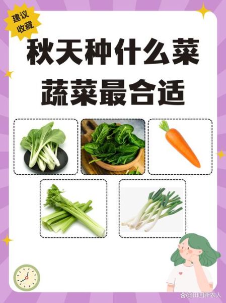 1000种蔬菜名字大全_哪些蔬菜最适合家庭阳台种植-第3张图片-山城妙识 1000种蔬菜名字大全_哪些蔬菜最适合家庭阳台种植-第3张图片-山城妙识