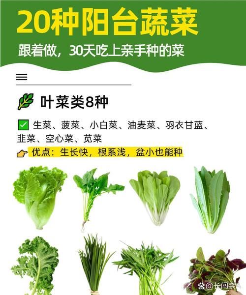 1000种蔬菜名字大全_哪些蔬菜最适合家庭阳台种植-第1张图片-山城妙识 1000种蔬菜名字大全_哪些蔬菜最适合家庭阳台种植-第1张图片-山城妙识
