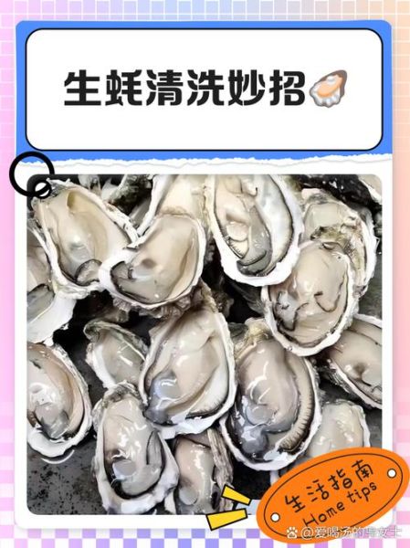 牡蛎肉怎么清洗内脏_牡蛎内脏清理图解-第3张图片-山城妙识 牡蛎肉怎么清洗内脏_牡蛎内脏清理图解-第3张图片-山城妙识