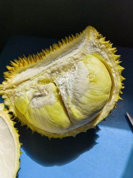 榴莲深夜释放自己_为什么越晚越想吃-第3张图片-山城妙识