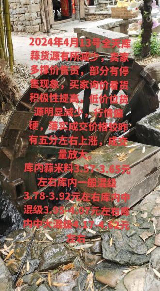 今日大蒜价格多少钱一斤_2024年大蒜行情还会涨吗-第2张图片-山城妙识