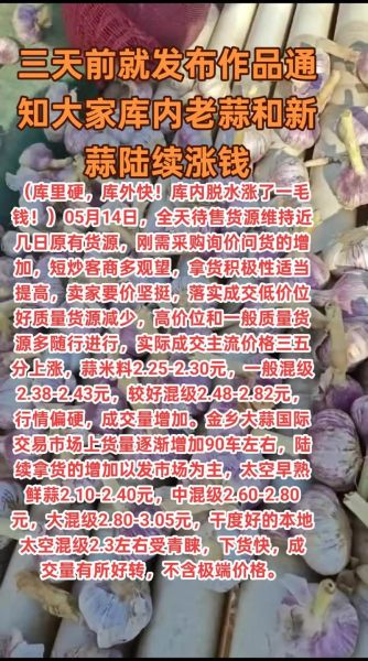 今日大蒜价格多少钱一斤_2024年大蒜行情还会涨吗-第3张图片-山城妙识