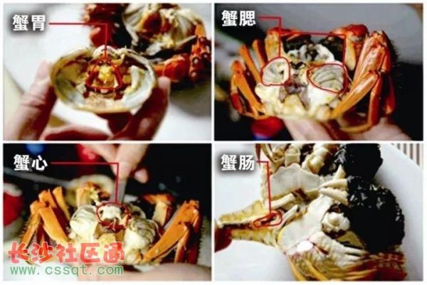 螃蟹哪些地方不能吃_蟹腮蟹胃蟹心在哪-第2张图片-山城妙识