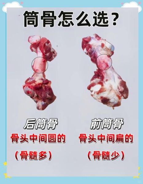 猪肘子前肘好还是后肘好_口感营养区别-第2张图片-山城妙识
