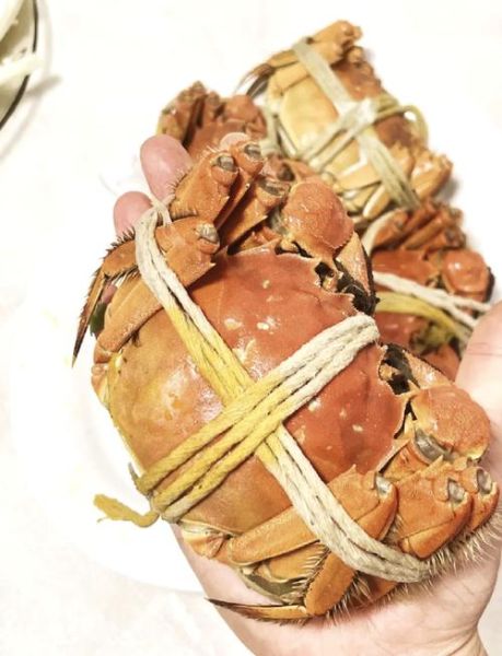 大闸蟹怎么清洗_大闸蟹清洗步骤图解-第3张图片-山城妙识 大闸蟹怎么清洗_大闸蟹清洗步骤图解-第3张图片-山城妙识