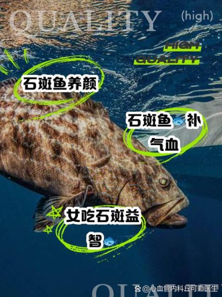 石斑鱼不能和什么一起吃_石斑鱼哪些人不能吃-第2张图片-山城妙识