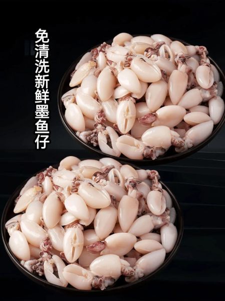 墨鱼和墨鱼仔哪个营养价值高_墨鱼仔和墨鱼营养差异-第2张图片-山城妙识